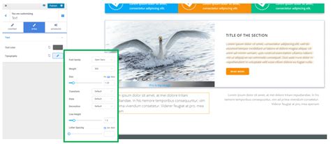 Text Component Colibri Docs
