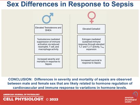 Sex Differences In Cardiovascular Response To Sepsis American Journal Of Physiology Cell