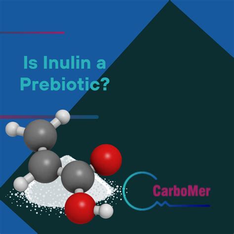 Is Inulin A Prebiotic Health Benefits And Risks