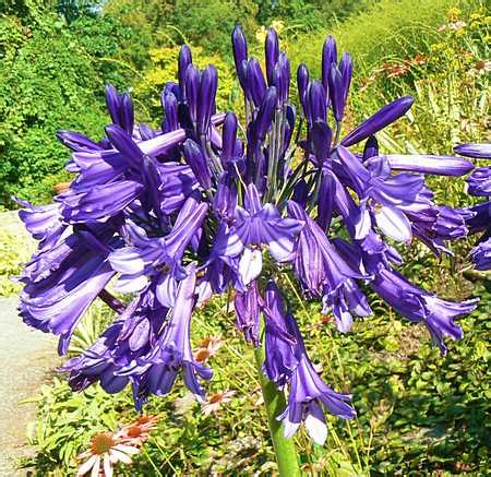Bellevue Botanical Garden
