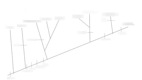 Biology Diagram Quizlet