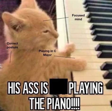 The Latest Memes Memedroid