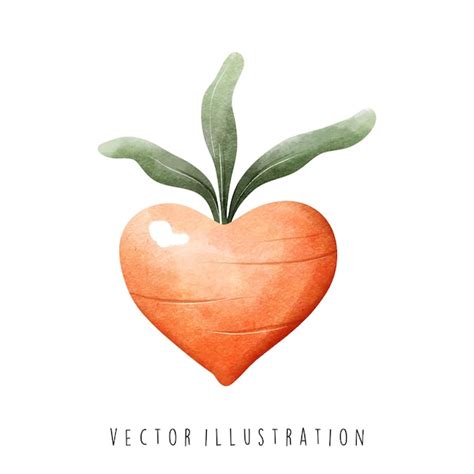 Premium Vector Easter Carrot Illusration