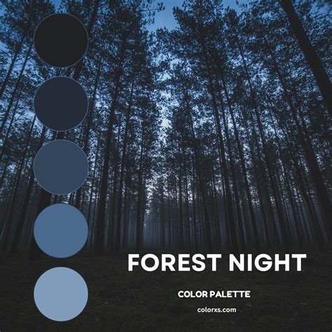 Nature Color Palettes And Color Combinations
