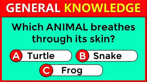 general knowledge quiz trivia can you answer all 30 questions correctly challenge 114 youtube