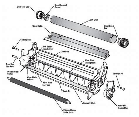 What Are The Four Essential Parts Of A Cartridge At Robert Hambright Blog