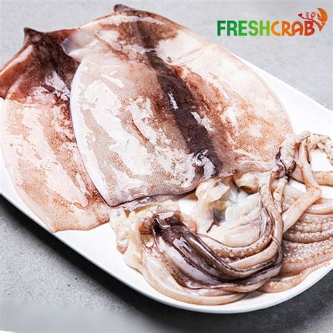 쿠폰가 9 780원~ 손질 촉촉 오징어 1팩 총5미 대 외 특대 왕특｜통오징어 티몬