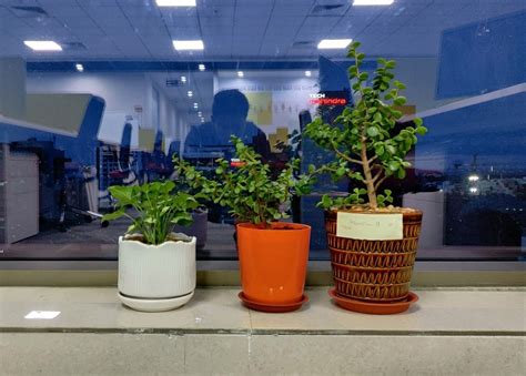 Ramarao Ambati On Linkedin Embracegrowth Infosys Tcs Accenture