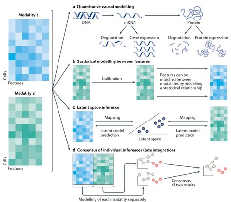 这些顶流单细胞多组学分析工具，值得一试 ！ 时空简讯第11期 哔哩哔哩