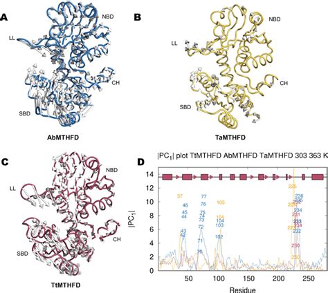 Principal Component Analysis Comparison Of 1 St Pc Eigenvector Download Scientific Diagram