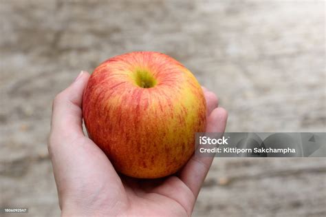 빨간 사과 또는 매킨토시 사과를 들고 손 과일과 건강의 야외 정원 개념 물체 고립 된 배경에서 흰색 흐릿한 배경에 노란색 평면도와 혼합 된 빨간색 과일입니다 가을에 대한