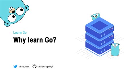 Why Learn Go Learn Go