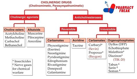 Classification Of Cholinergic Drugs