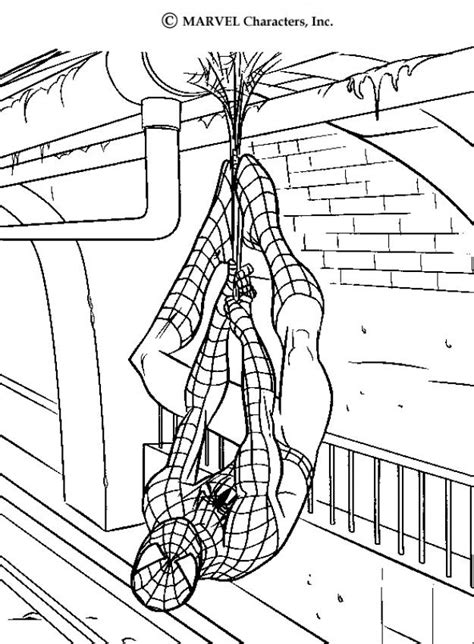 Spider Man Homecoming Coloring Pages At Getdrawings Free Download