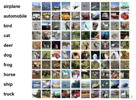 了解图像分类与imagenet数据集 Csdn博客