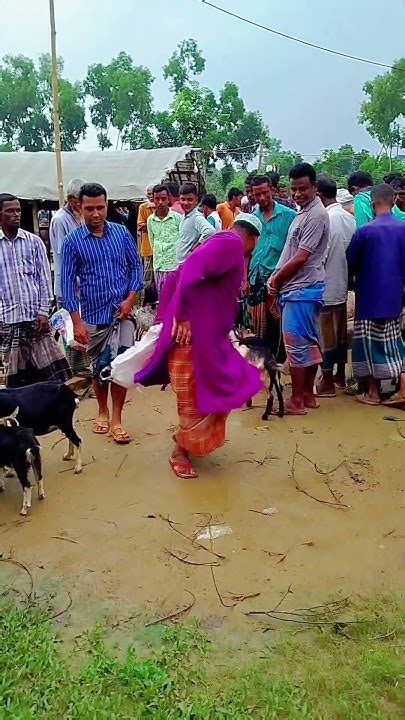 Ran Away With The Goat🙆🤣funny Funnycomedy Shortvideo Youtube