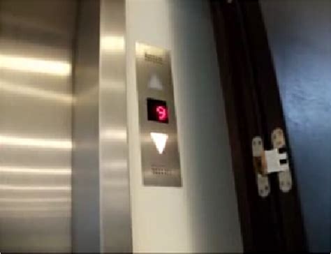 Image Thyssenkrupp Hall Indicator And Lantern Png Elevator Wiki