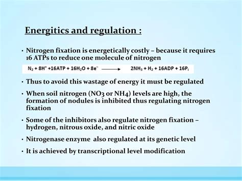 Nitrogen Fixation Pptx