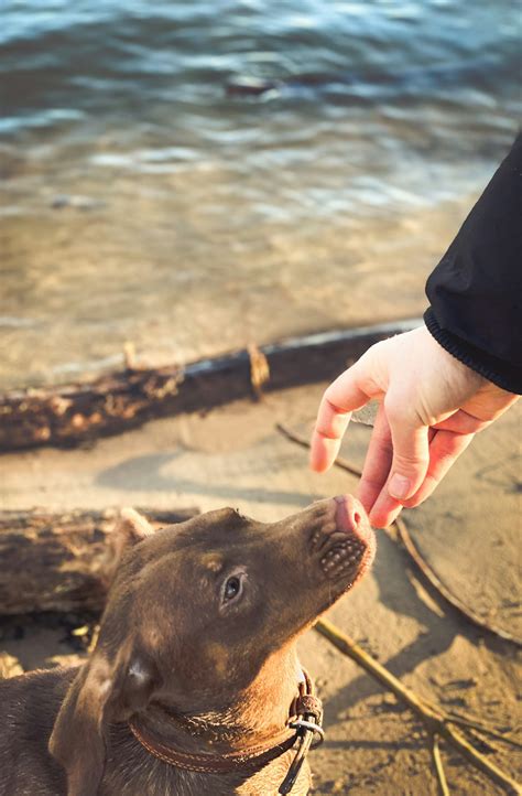 Recall Vs Remember Whats The Difference This Vs That