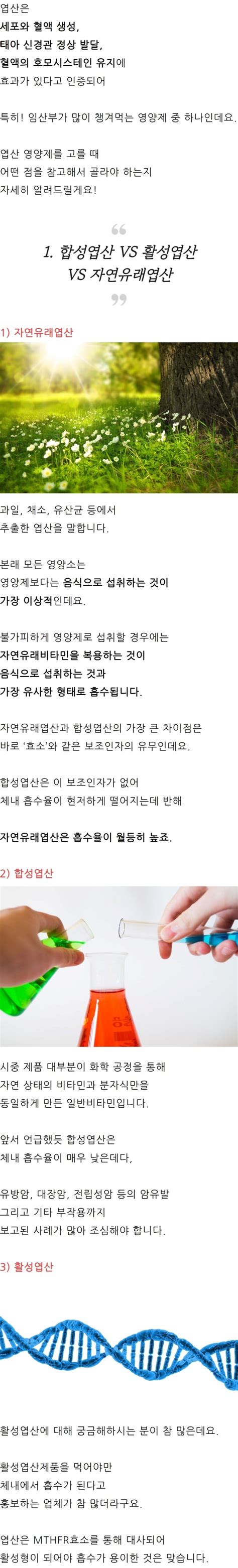 임신초기 엽산 임산부영양제 유기농 엽산 분석 고르는법 네이버 블로그
