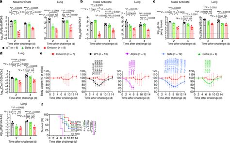 Attenuated Replication And Pathogenesis Of Omicron In K18 Hace2