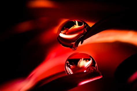Hot Sex Behance