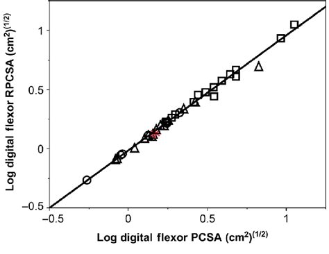 Correlation Between Physiological Cross Sectional Area Pcsa And Download Scientific Diagram