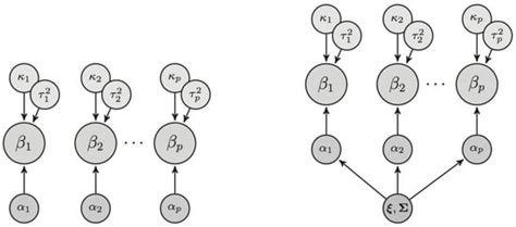 Sparse Bayesian Neural Networks Bridging Model And Parameter