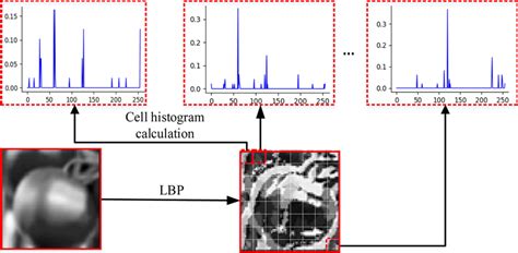 an example of the lbp feature extraction process in which a