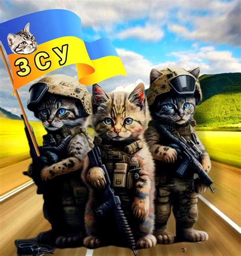 Наші котики | Painting art projects, Ukraine, Illustration