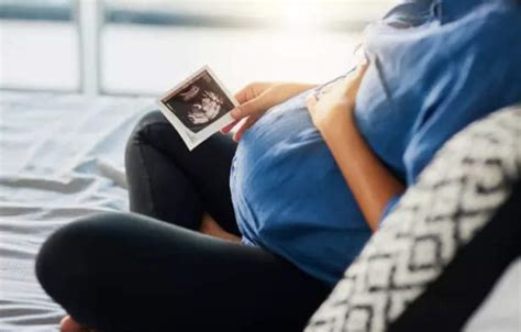 Supreme Court Centre Informs Sc Live In Partners Same Sex Couples