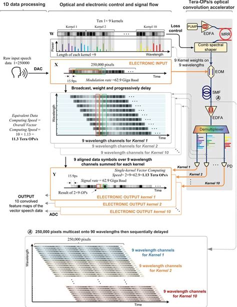 Vector Convolutional Accelerator For Processing One Dimensional Download Scientific Diagram