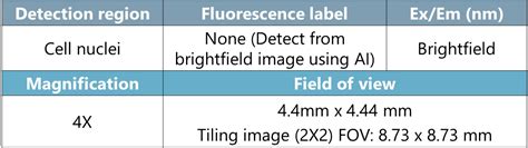 Label Free Cell Counting Using AI Driven Fully Automated Smart Imaging System ECLIPSE Ji