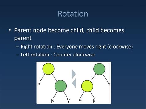 ppt tree rotations and splay trees powerpoint presentation free