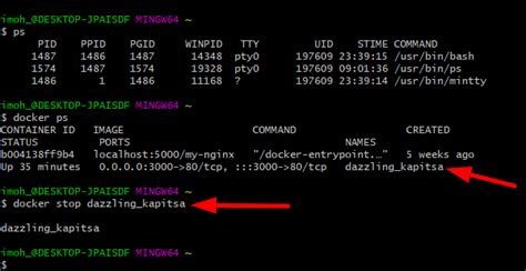 Stopping Removing And Naming Docker Container Techdirectarchive