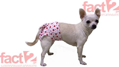 Invet Ge ამოსაცმელი პამპერსი