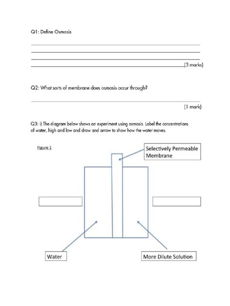 Osmosis Questions Pdf