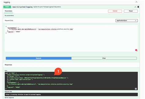 Set Log Level Customer Hub