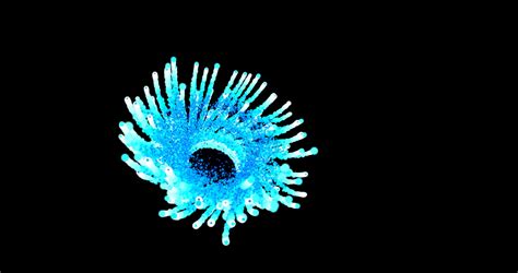 Abstract Animation Motion Design With Stock Motion Graphics Sbv