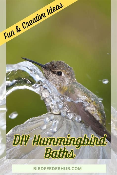 Diy Mister Bath 4 Hummingbirds Artofit