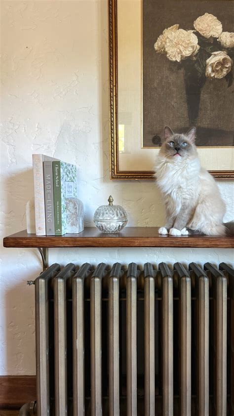 Easy And Stylish Radiator Shelf Diy With Brackets Our Aesthetic Abode