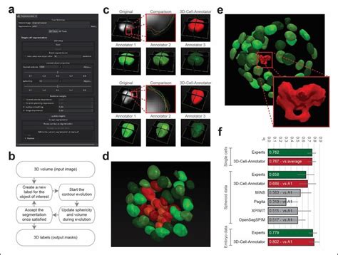 A 3d Cell Annotator Graphical User Interface Gui B Flow Chart Of