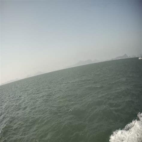 Marine Object Detection Object Detection Dataset V4 2023 06 05 513pm