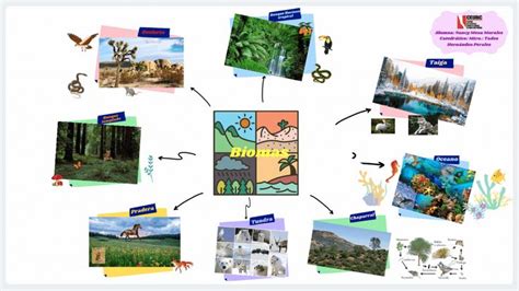 Mapa Mental Biomas