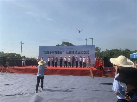 永安大力推进水稻机插现场演示示范 农机新闻网