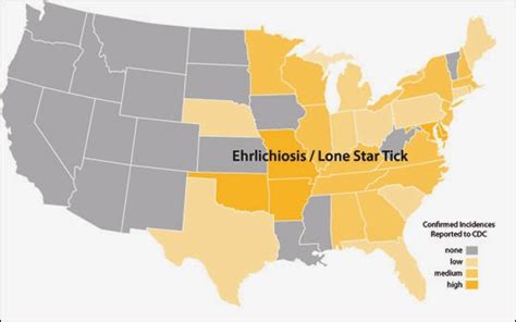 The Lone Star Tick Renal Fellow Network