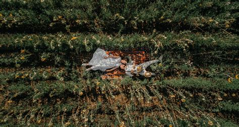 გლასლაინი 🏖️ შეიქმენი საზაფხულო კომფორტი 🏡 🌿 ზაფხულის საჩრდილე სივრცე რომელიც შენს ეზოს