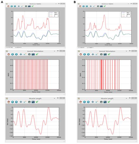 Non Linear Inputoutput Behavior Of The Cat Soleus Muscle A Muscle