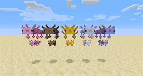 All The Axolotl Variants From The New Snapshot R Minecraft