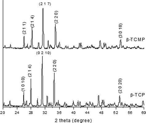 X Ray Diffraction Xrd Patterns Of Tricalcium Phosphate β Tcp Download Scientific Diagram